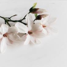 The Wallflower. Shy, soft-spoken, and under-confident, | by Suparna ...