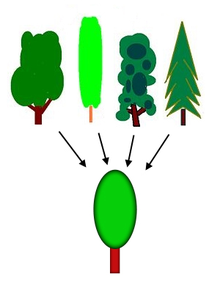 CLASIFICACIÓN Y GENERALIZACIÓN