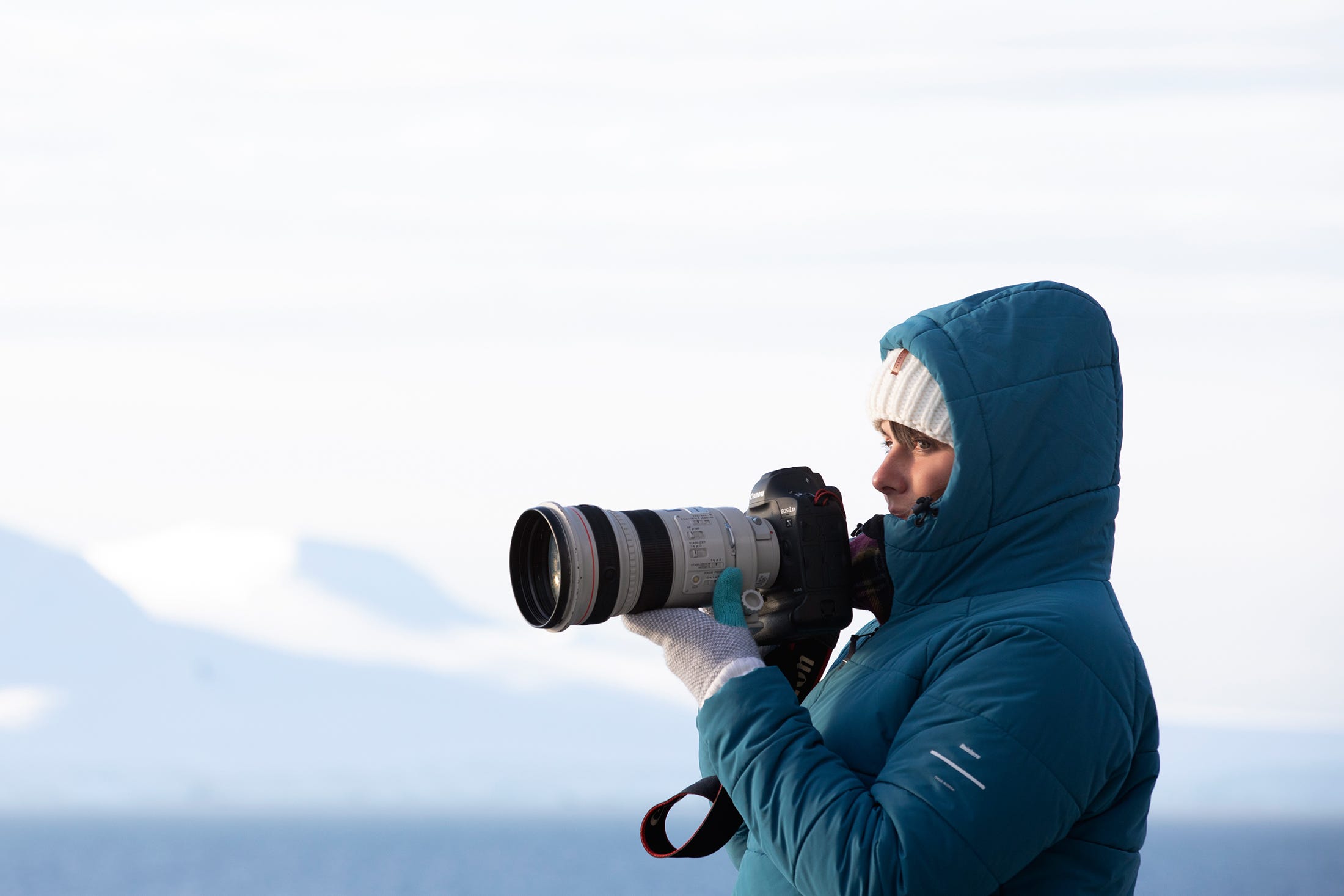 Vogage: Antarctica. Photographer Lucia Griggi takes us on a… | by Wild ...