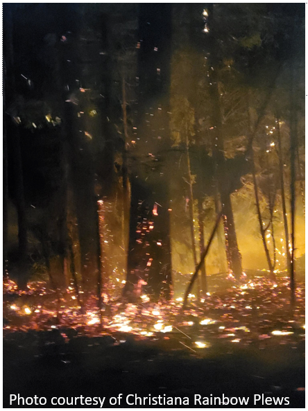 Get Out! Now! A Firefighter’s Account of the Holiday Farm Fire of 2020 ...