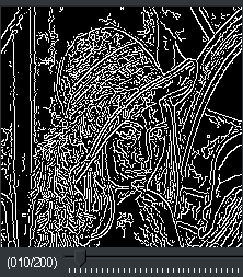 Let’s play with image borders on OpenCV | by Elvis Ferreira | Medium