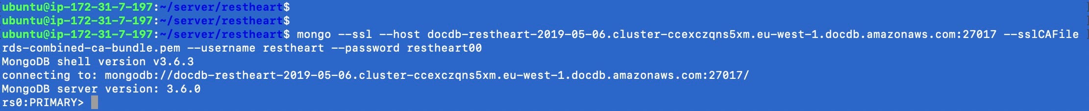 How to create a Web API for AWS DocumentDB (using RESTHeart)
