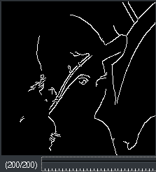 Let’s play with image borders on OpenCV | by Elvis Ferreira | Medium
