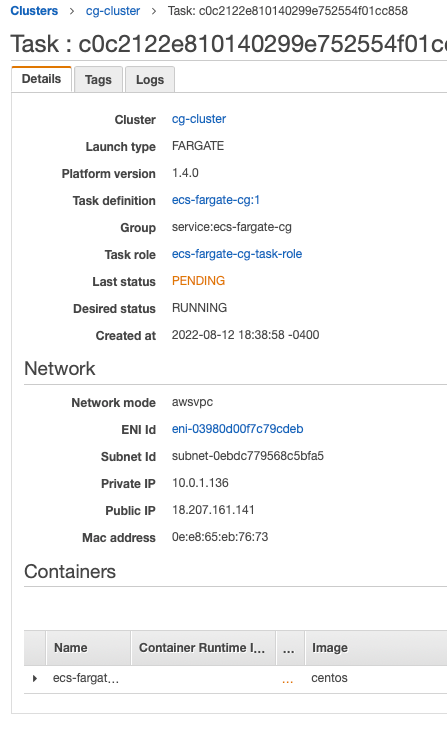 Using Terraform To Create An Ecs Cluster With Centos By Courtney