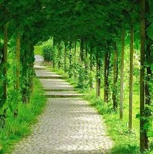 The Evolution of Your Desire. The Path to Your Desires is Unfolding ...