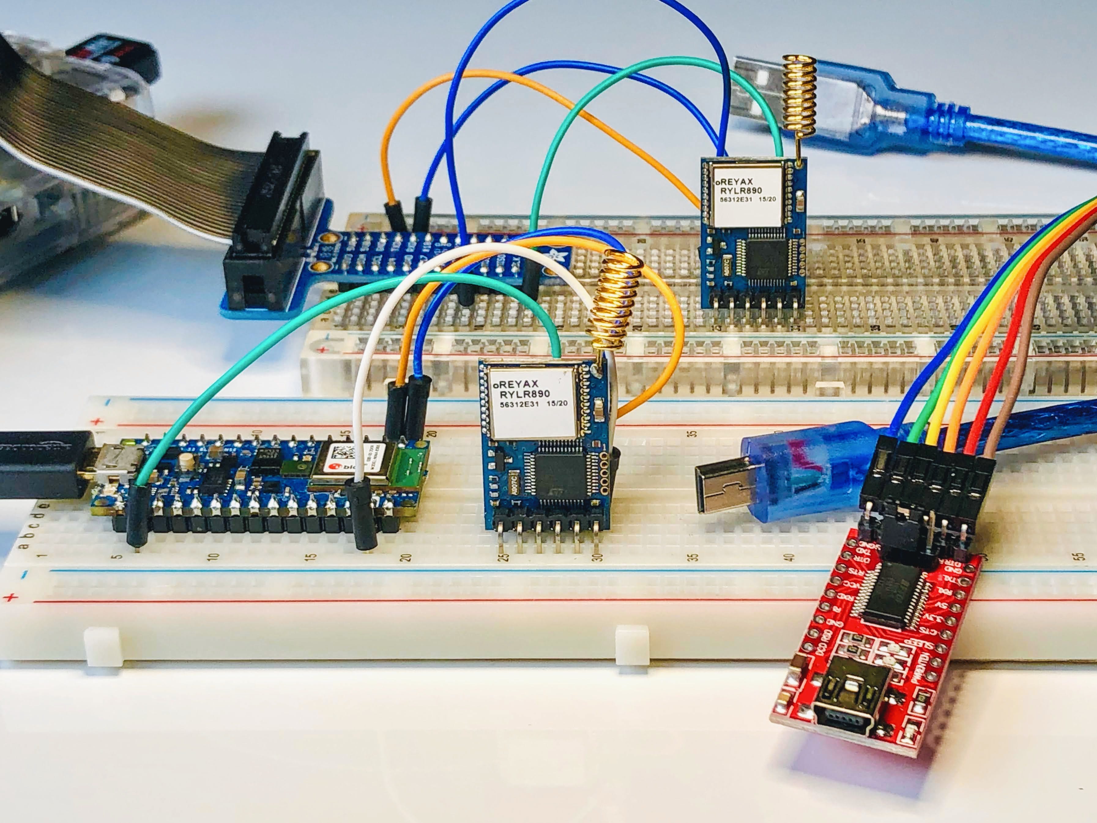 LoRa and LoRaWAN for IoT