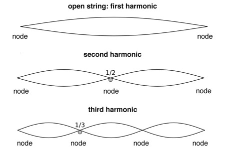 Fiddling with Harmonics. Fiddling Harmonics, not Just a Trick | by Elan ...