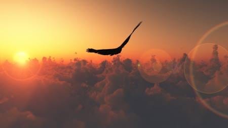 BIRDS OF THE UNIVERSE. I know we were bound to be broken… | by John ...
