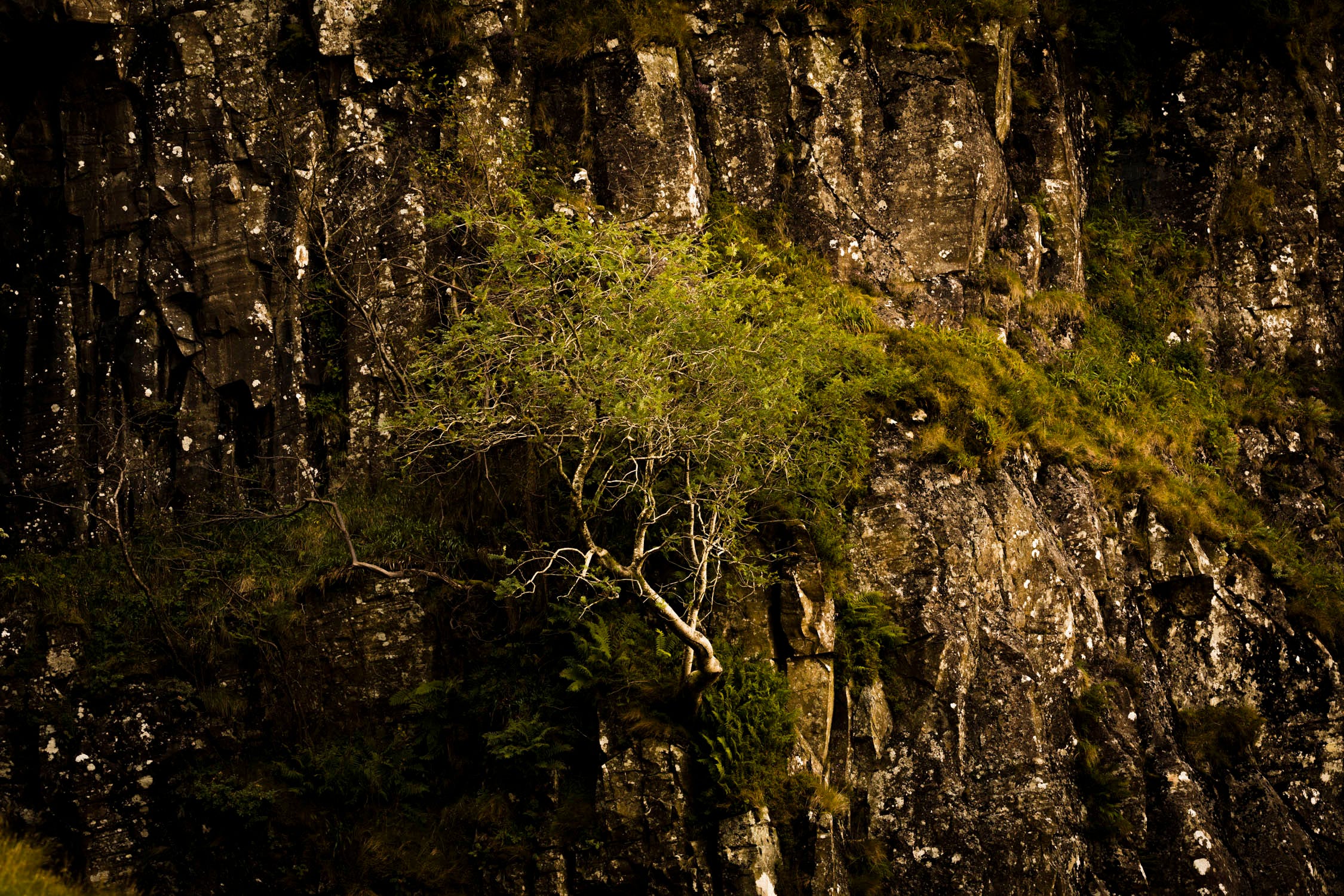 5 Ways to Simplify and Improve your Landscape Photography | by Adam ...
