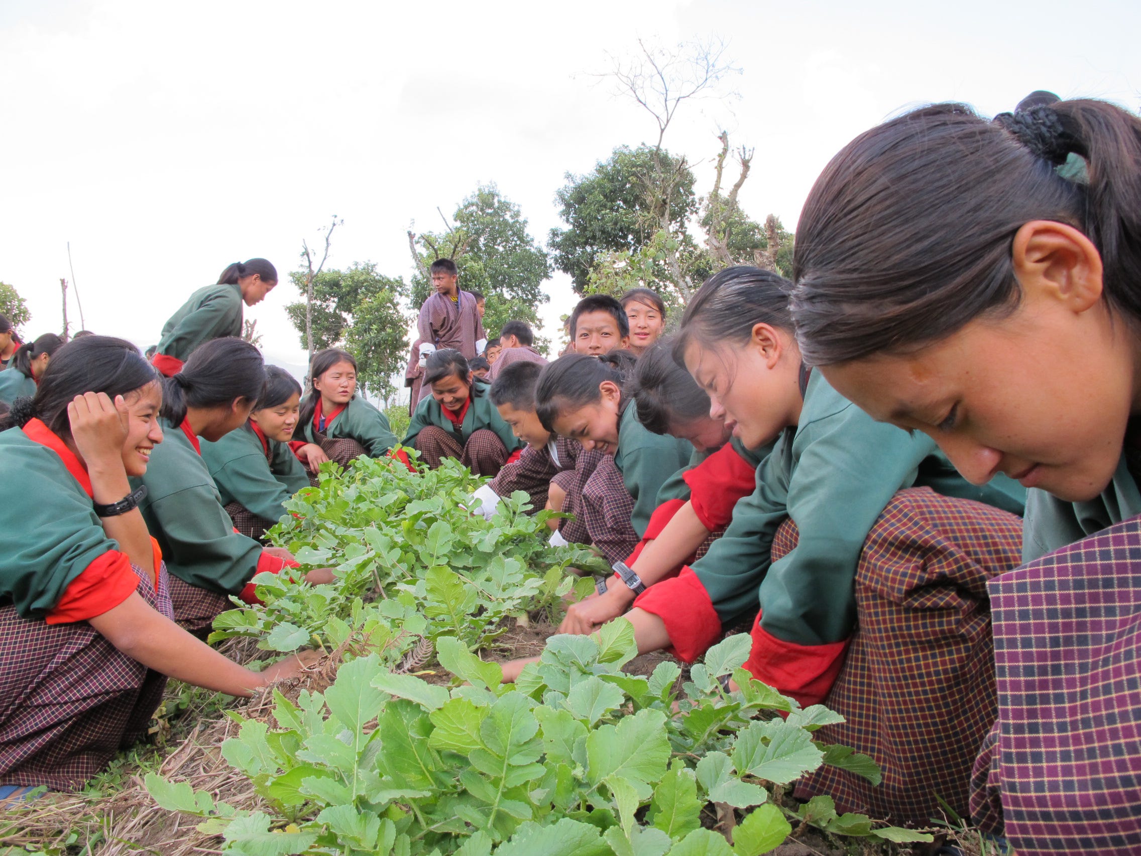 Making home-grown school meals in Bhutan | by World Food Programme ...