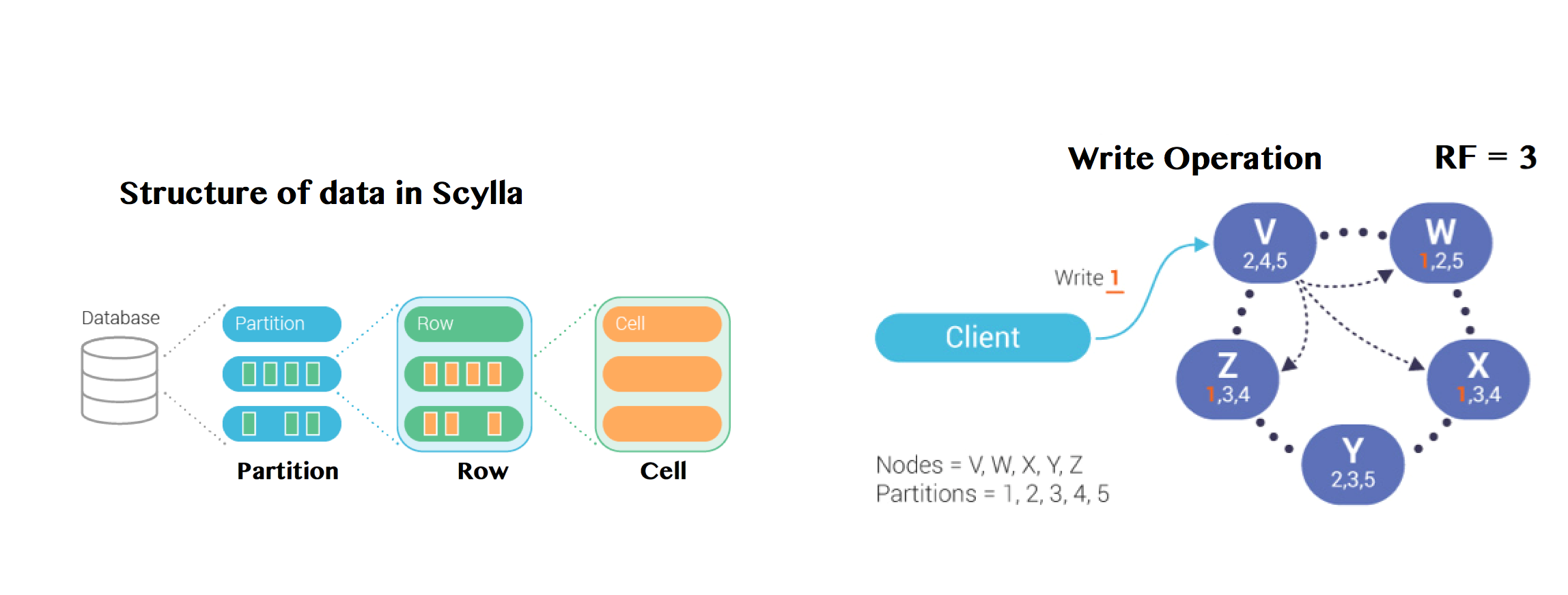 ScyllaDB Architecture: Understanding Consistent Hashing, Bloom Filters, Memtable and SSTable ...