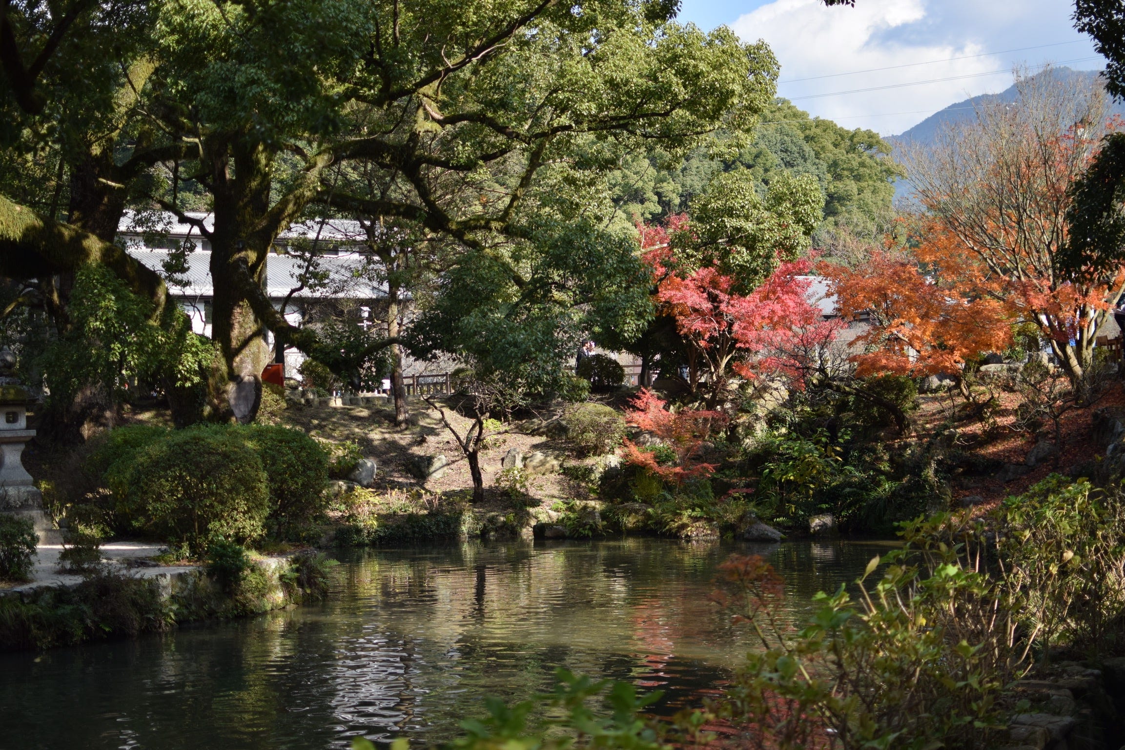 Photography in Kyushu. I love Kyushu, the island located west… | by ...