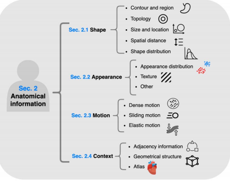 Deep learning in medical image segmentation | by Christopher Ballon ...