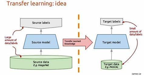 Pengembangan Transfer Learning di Tensorflow | by Rakha Asyrofi | Medium