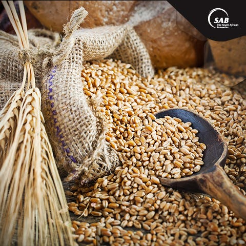 Better Barley, Better Beer: promoting sustainable agriculture in South ...