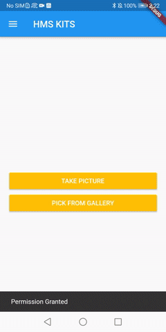 Intermediate: How to Integrate Image Classification Feature of Huawei ML Kit in Flutter | by ...