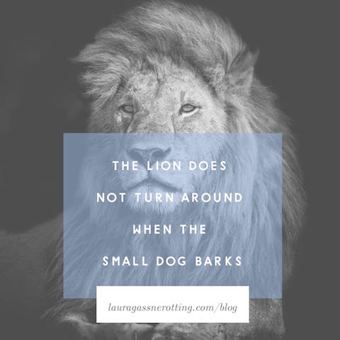 The Lion Does Not Turn Around When the Small Dog Barks | by Laura ...