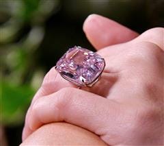 A Dream in Pink — The Raj Pink. Across the breadth of billion years ...