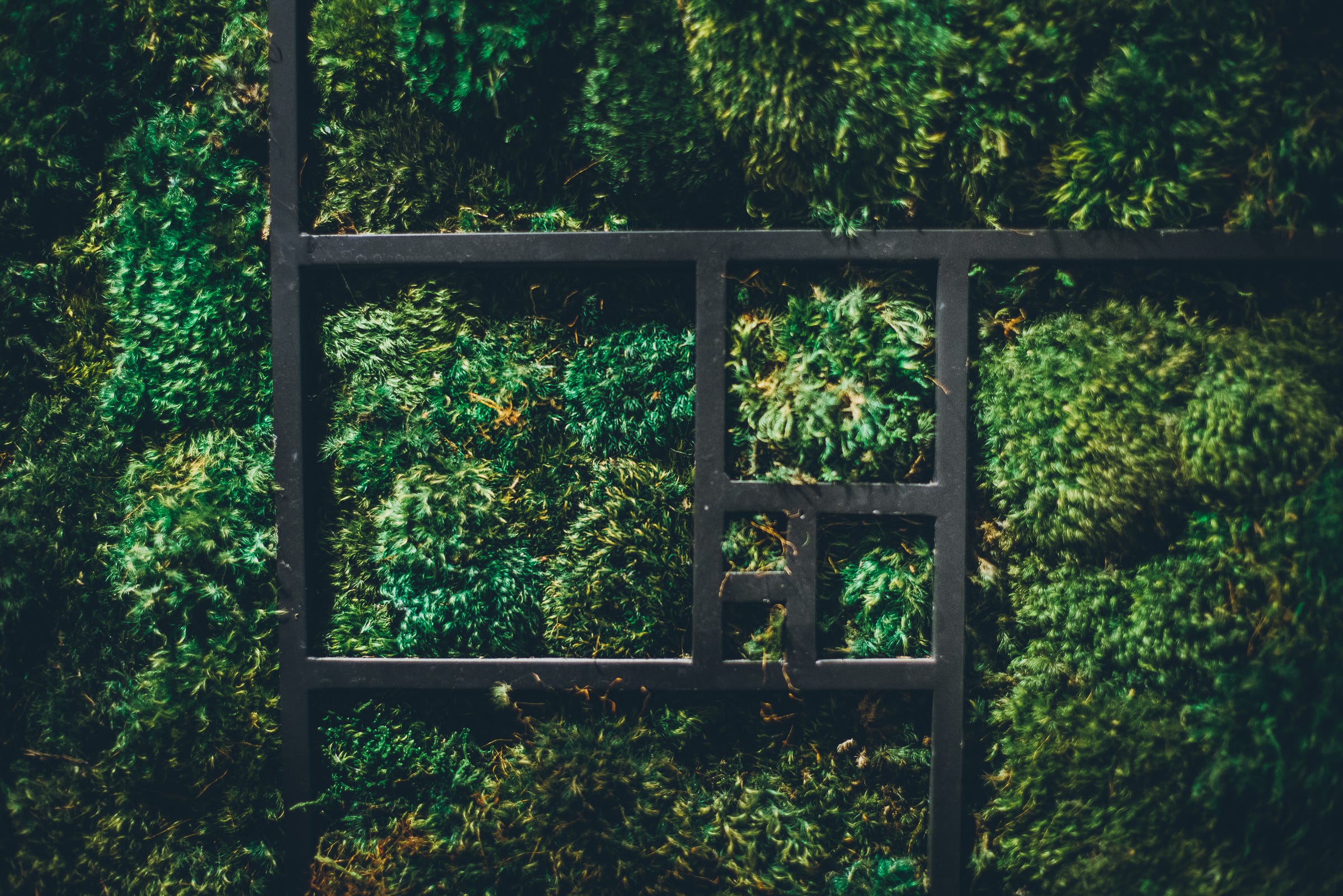 The Restorative Power of Nature. Why Getting Outside is Essential to ...