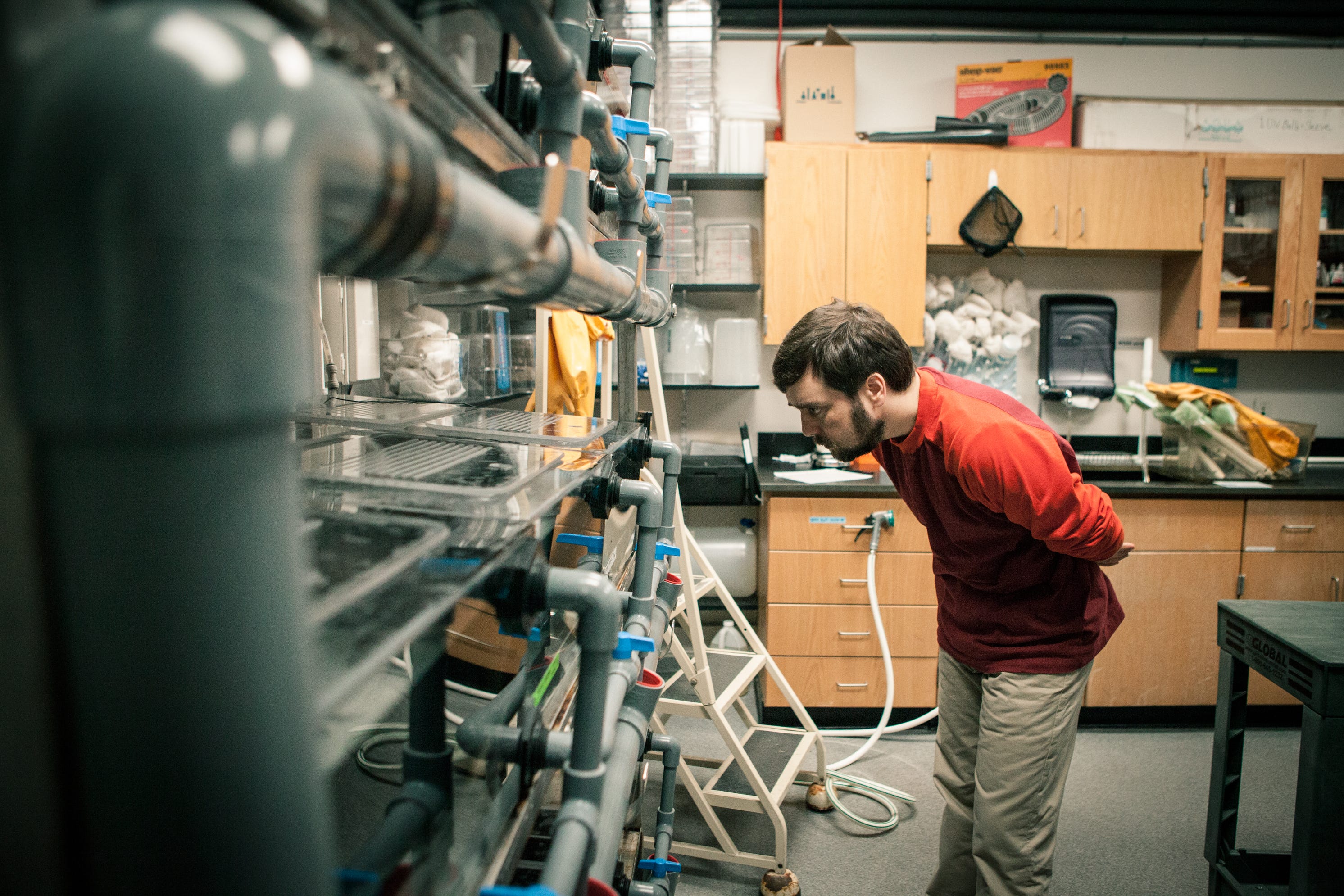 Could This Man Hold the Secret to Human Regeneration? | by Matter ...