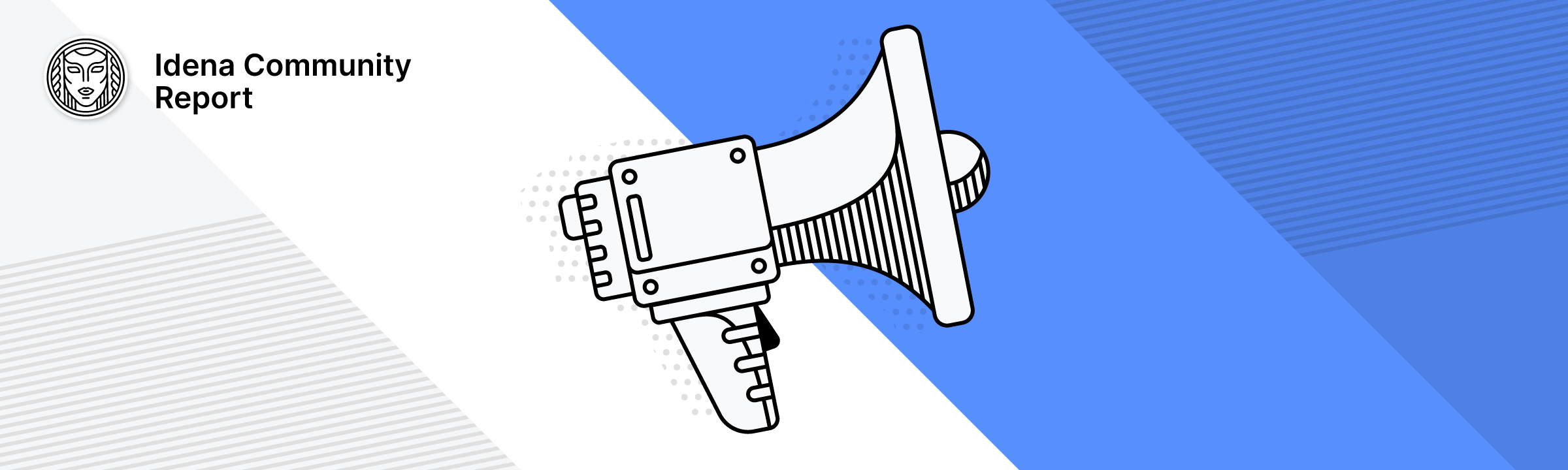 Idena 2021 community report | Idena