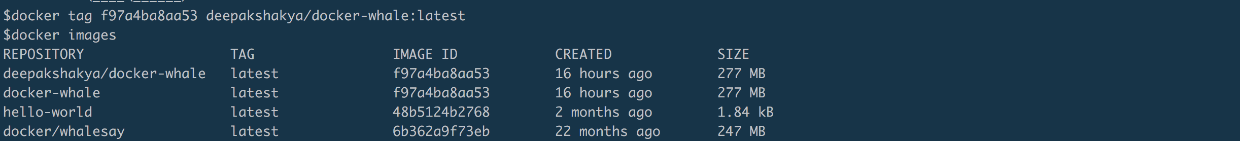 Beginner’s guide to use docker (Build, Run, Push and Pull) | by Deepak Shakya | Medium