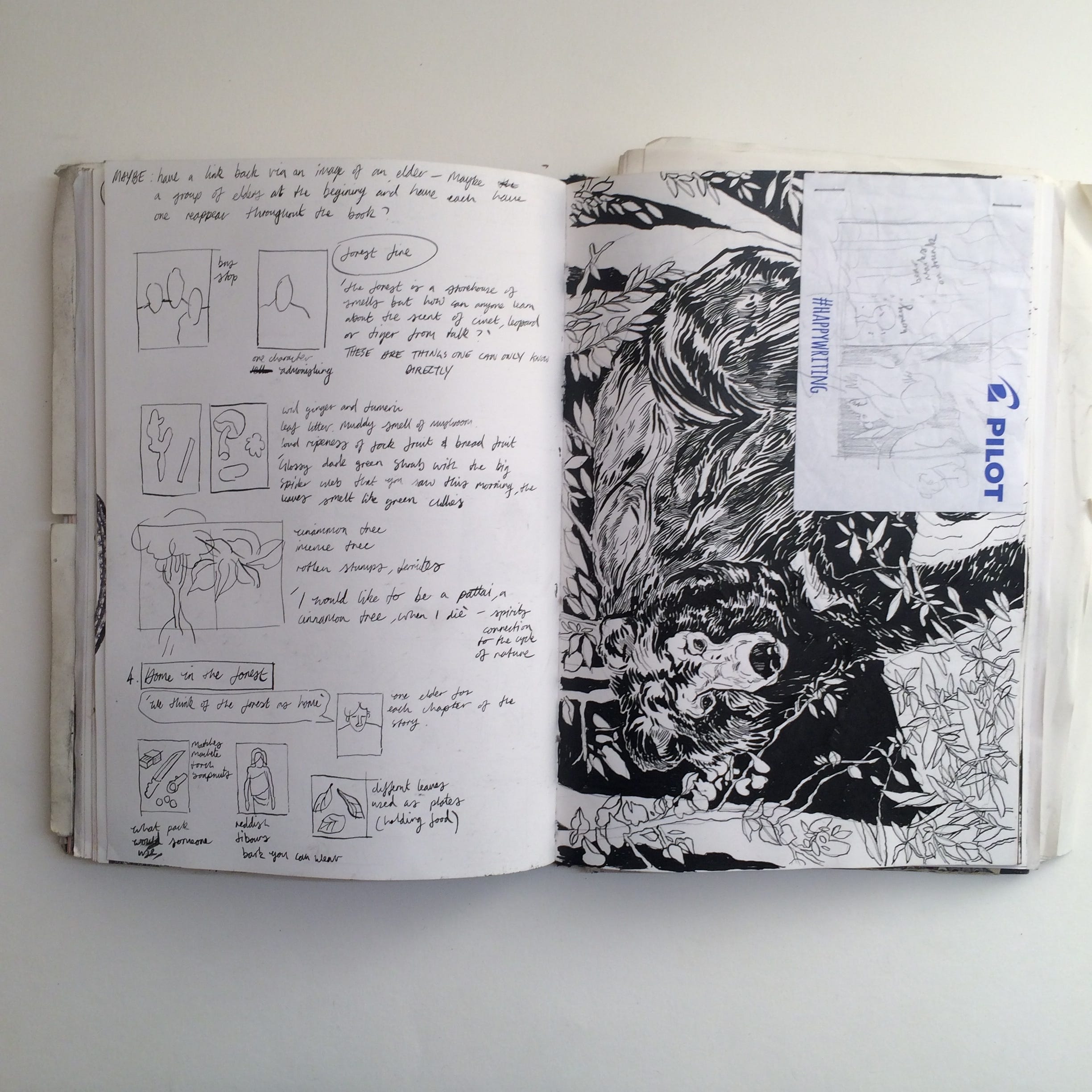 Designing a Forest. By Matthew Frame | by Tara Books | Medium