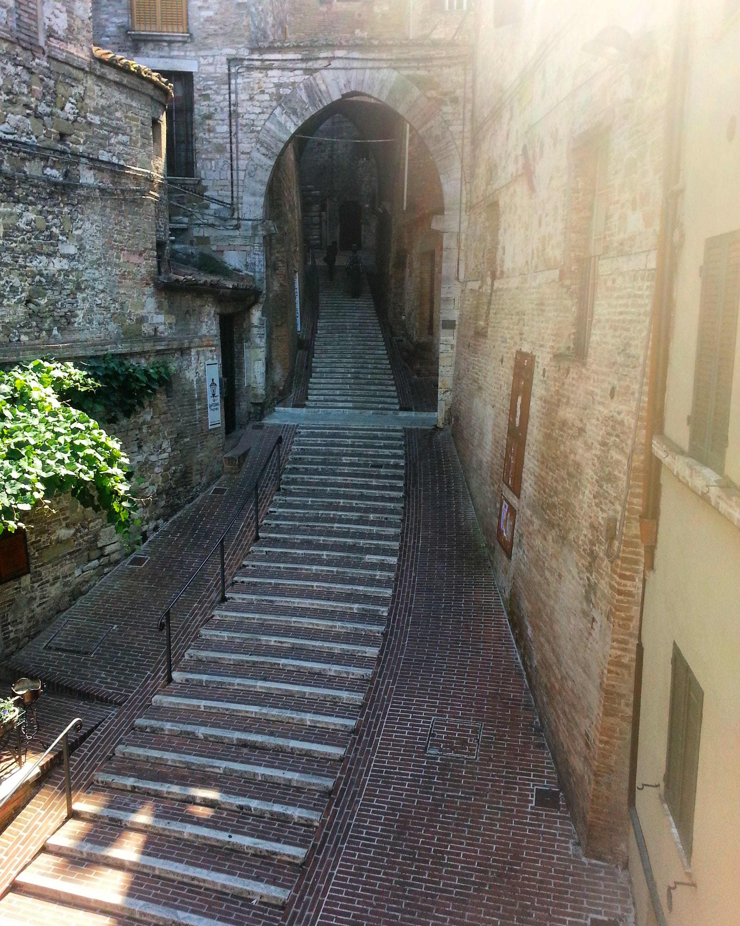 Perugia - All Over The Place - Medium