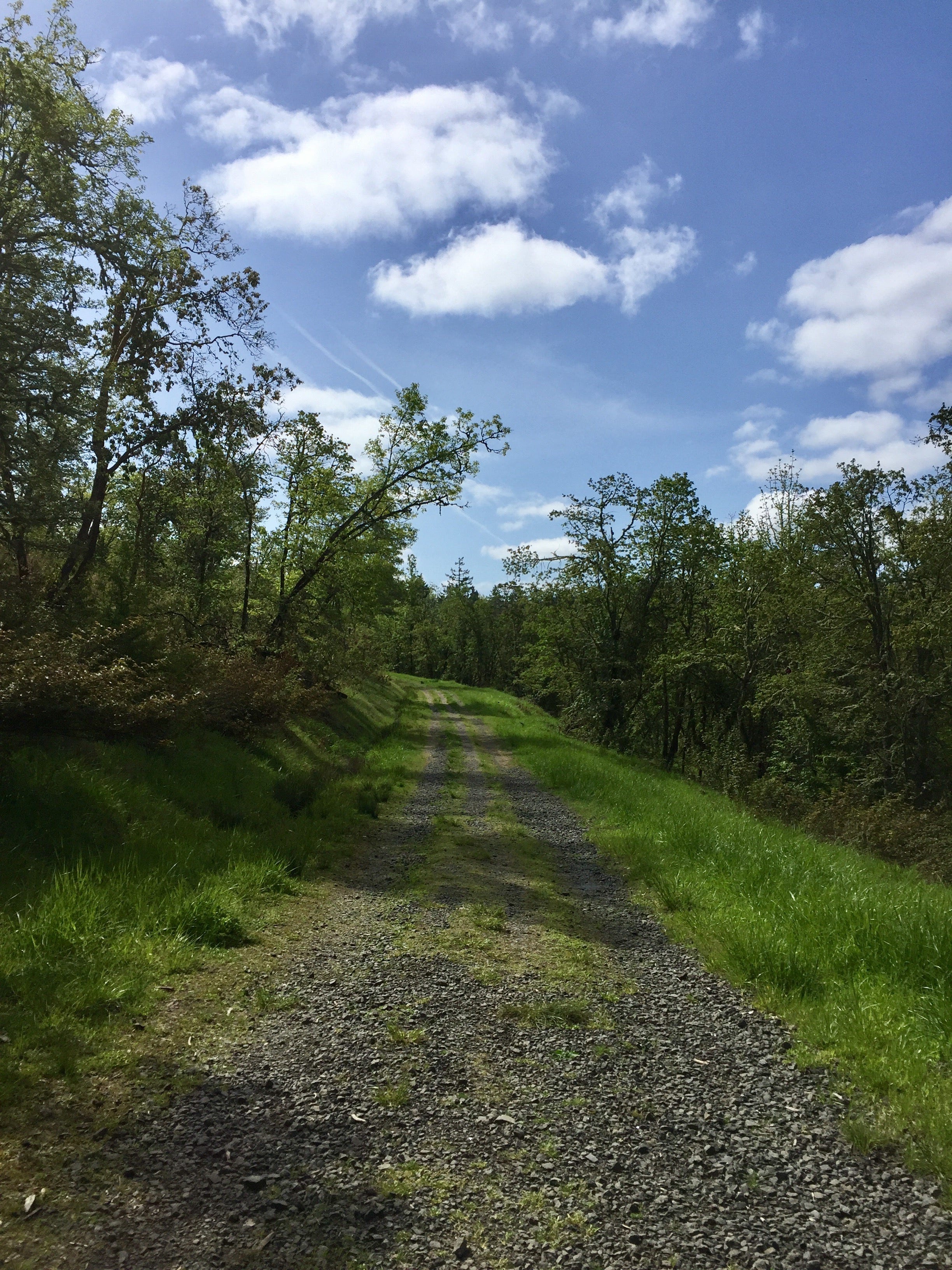 Here’s How You Can Find 3 of the Most Breathtaking Oregon Hiking Trails ...