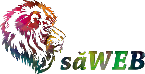 saWEB Design & Development. We Build Beautiful WebSites | Web… | by ...