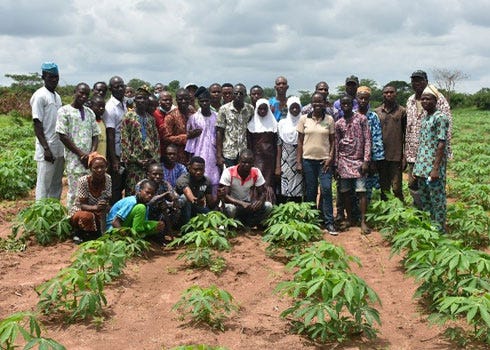 Potential Of Agriculture In Haiti | by Development United | Medium