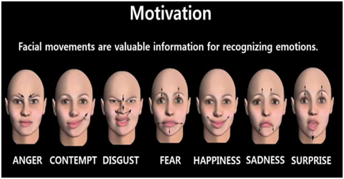 GitHub - SayamAlt/Facial-Expression-Recognition: Successfully ...