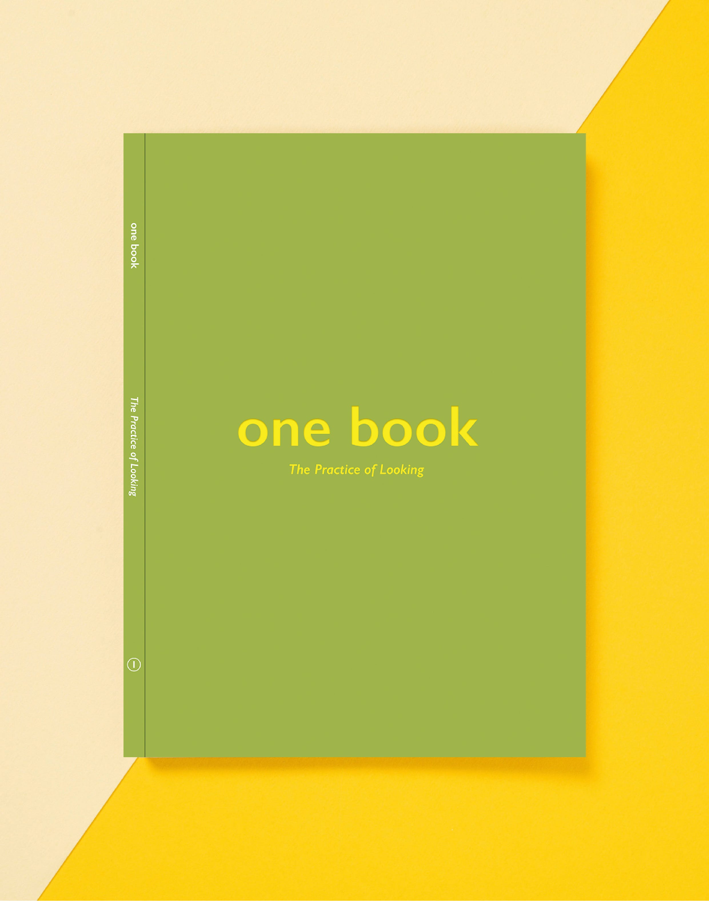 Published One Book Series 1- The Practice of Looking | by One Art ...