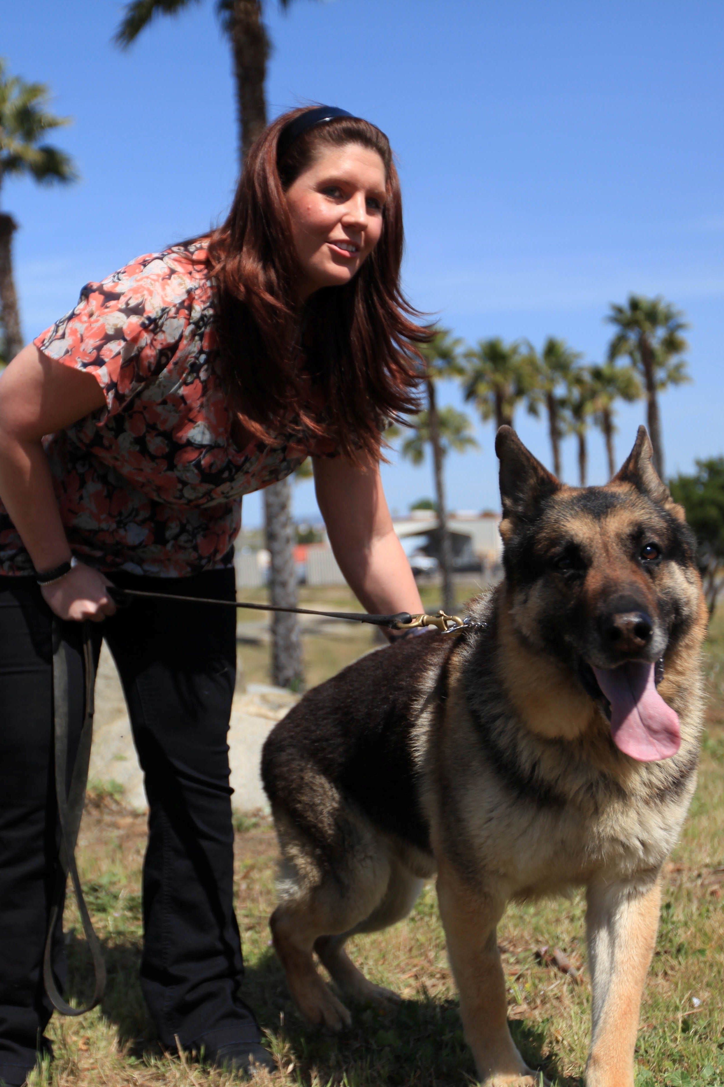 A Brief and Glorious History of America’s Canine Warriors | by Jared ...