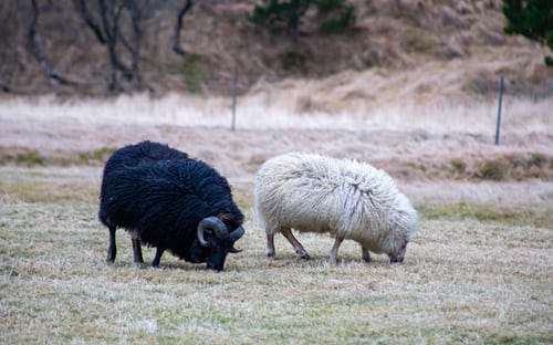 The Machine Learning Project Pipeline — Binary Classification as an ...