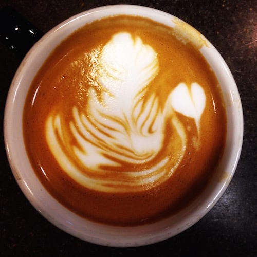 Coffee Shop Phonology. I work in a specialty coffee shop; it’s… | by ...
