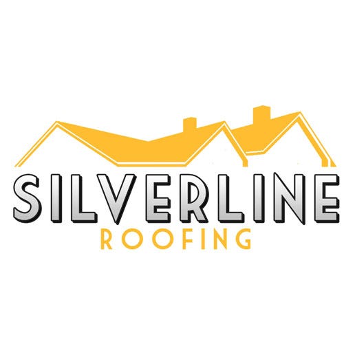 Silverline Roofing. Silverline Roofing is an Edmonton… | by Laura ...