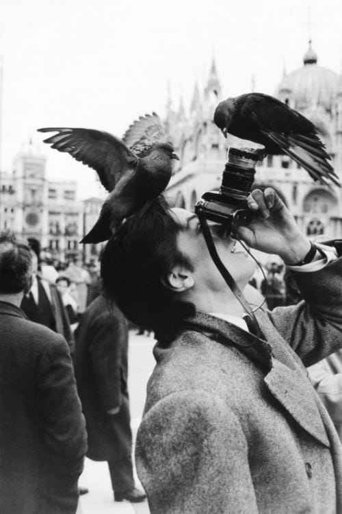 Flâneur in Street Photography. The most notable application of flâneur ...