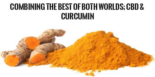 CBD & Turmeric-The Dynamic Duo. We all know about the health benefits ...