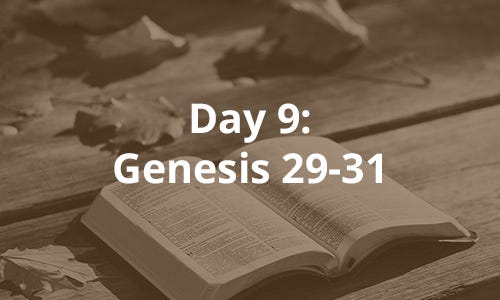 Day 9: Genesis 29–31. As is common with a book, you’ll want… | by Megan ...