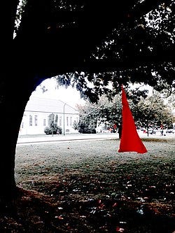 Calling Back the Spirits. REDress Project commemorates Missing… | by ...