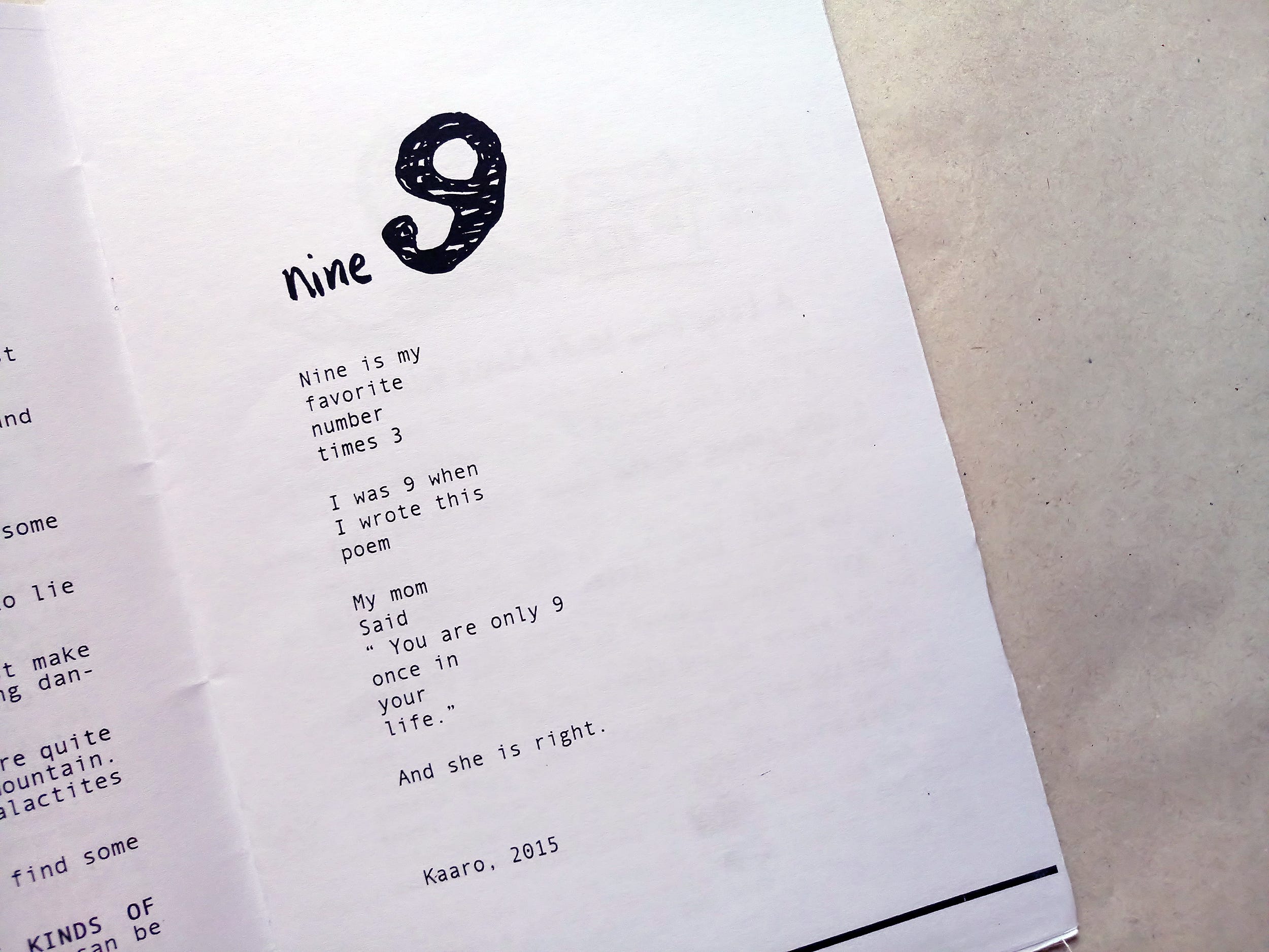 Literary Zines from Mt Cloud Bookshop: Nine Lives & Writings of the ...