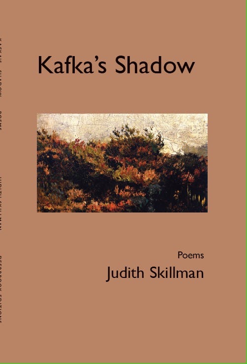 Kafka’s Shadow review. Review of Kafka’s Shadow, poems by… | by Jeff ...
