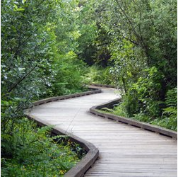 Great Runs Seattle. Seattle, also known as the Emerald… | by Ariana ...