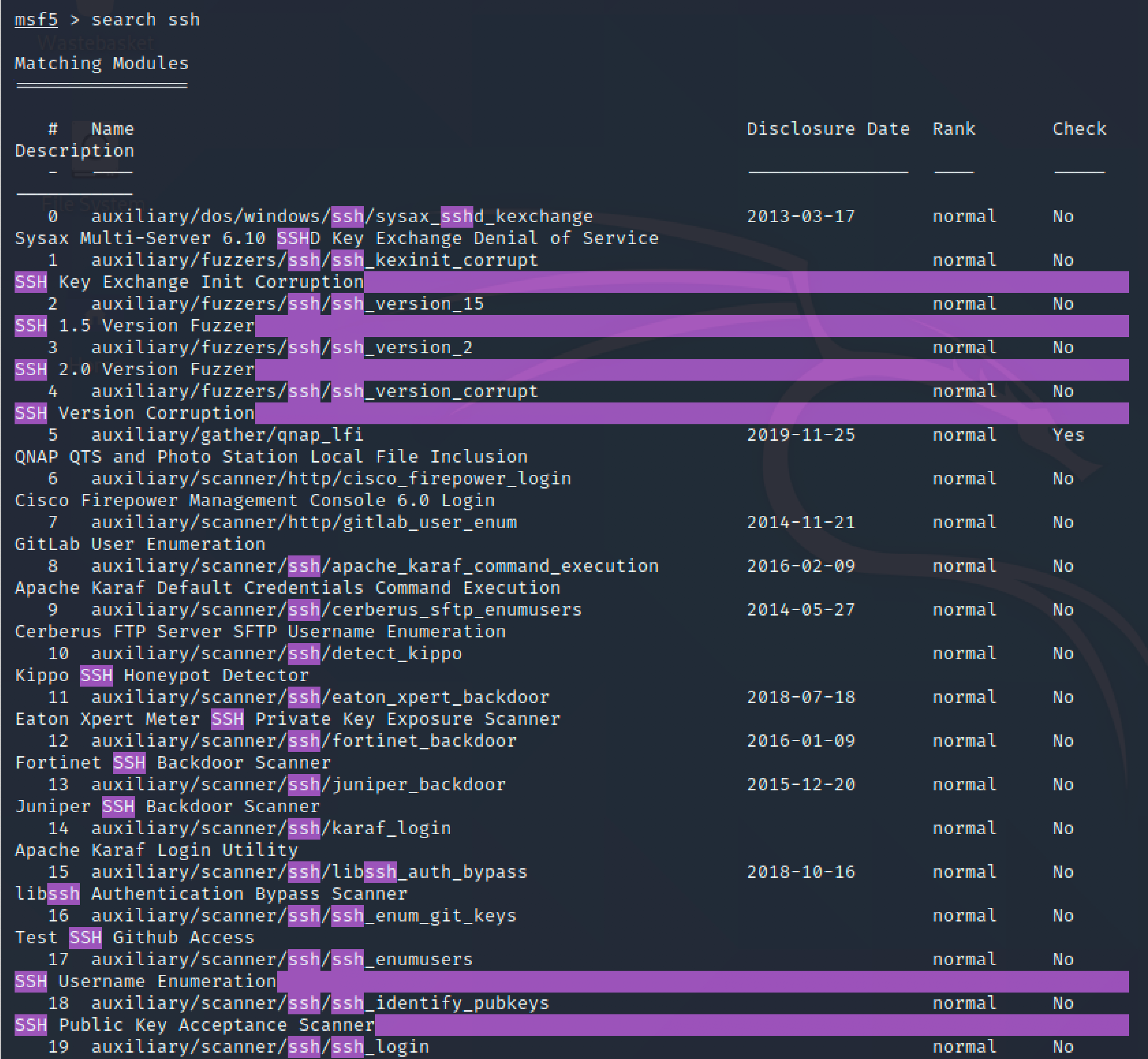 hacking mit metasploit pdf download