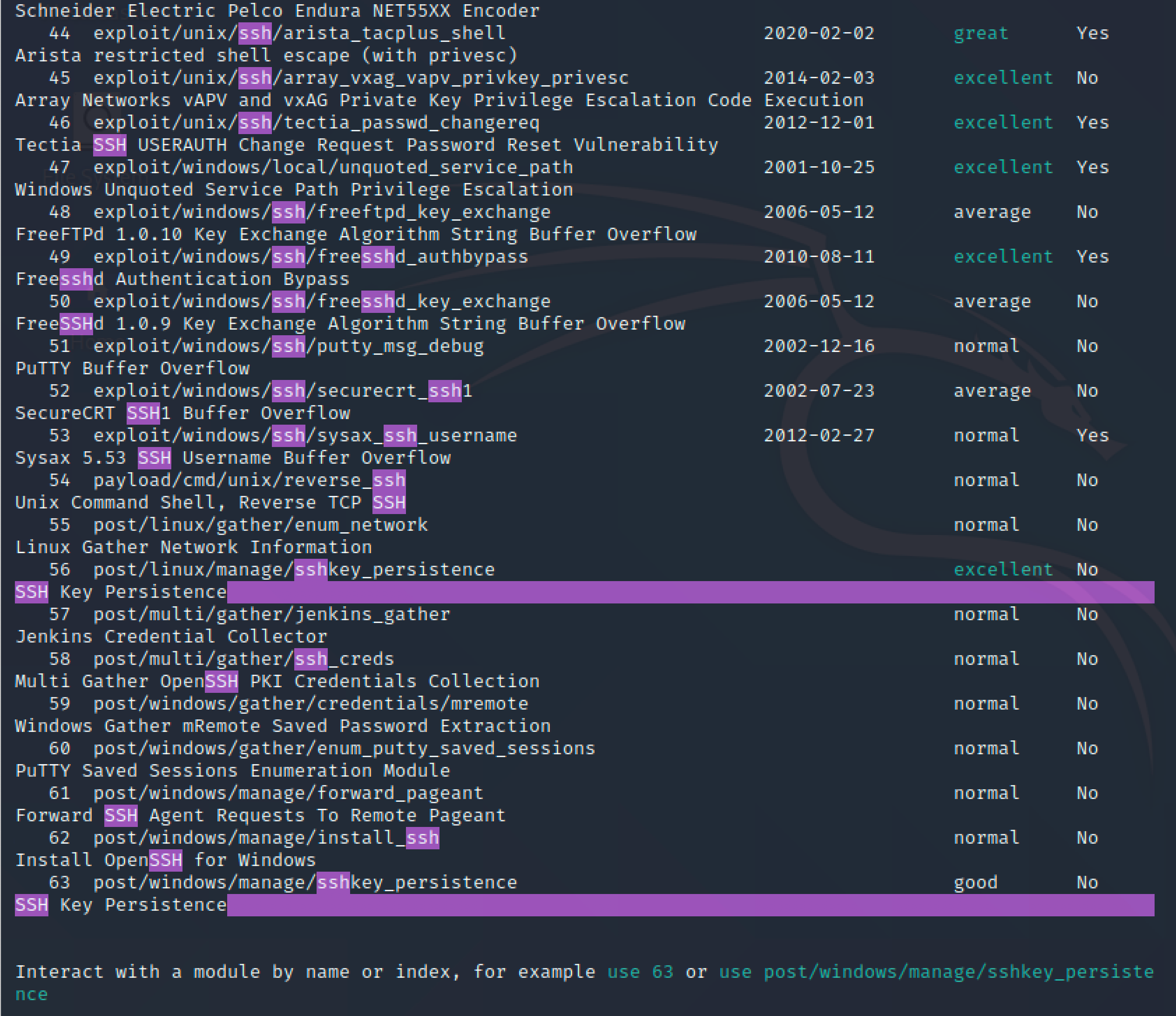 hacking mit metasploit pdf download