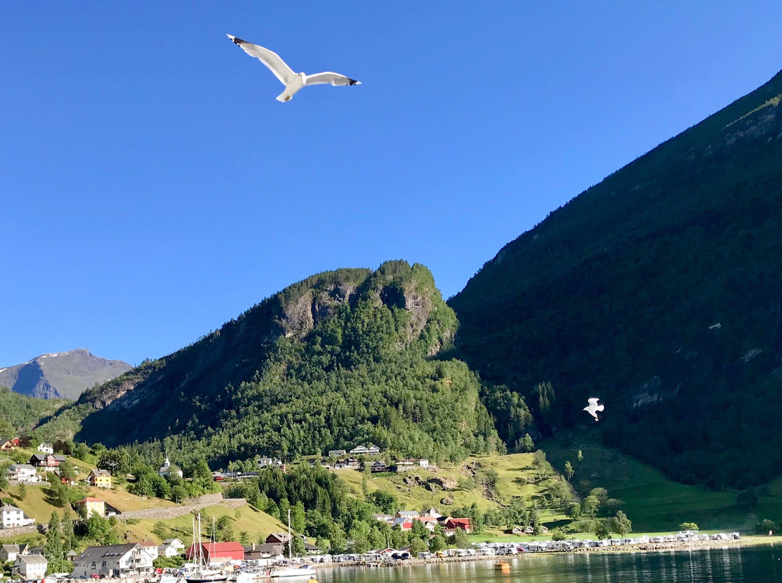 Exploring the fjords in west Norway: 6 days from Ålesund to Bergen