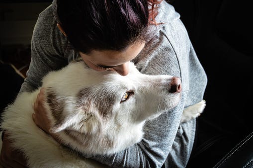 Every dog owner Should know:. When it comes to your dog’s health you ...