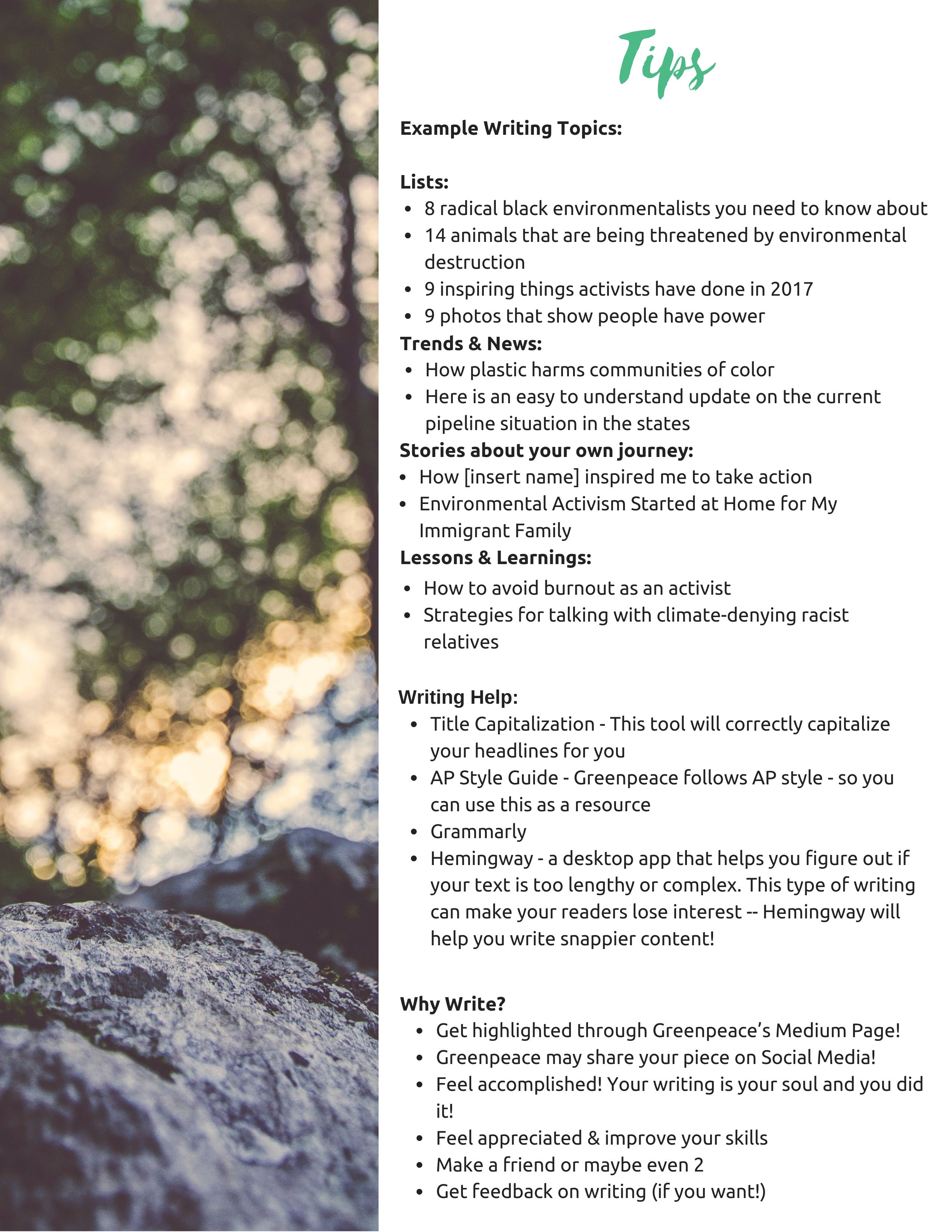 Get Started with the GREEN ZINE!. Check out our GETTING STARTED GUIDE ...