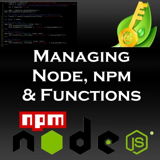 How to keep your sanity while managing NPM & functions in Node | by Ted ...